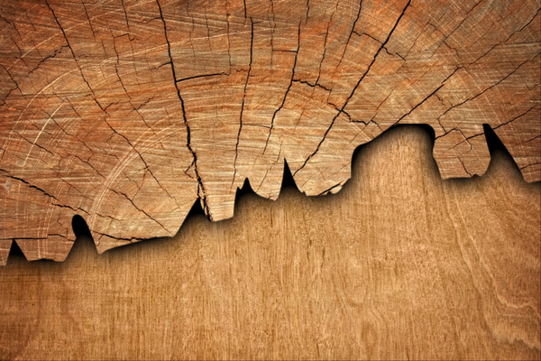 ESTRUCTURAS DE MADERA_CONOCIENDO EL MATERIAL_MODULO 1 | COAATGR